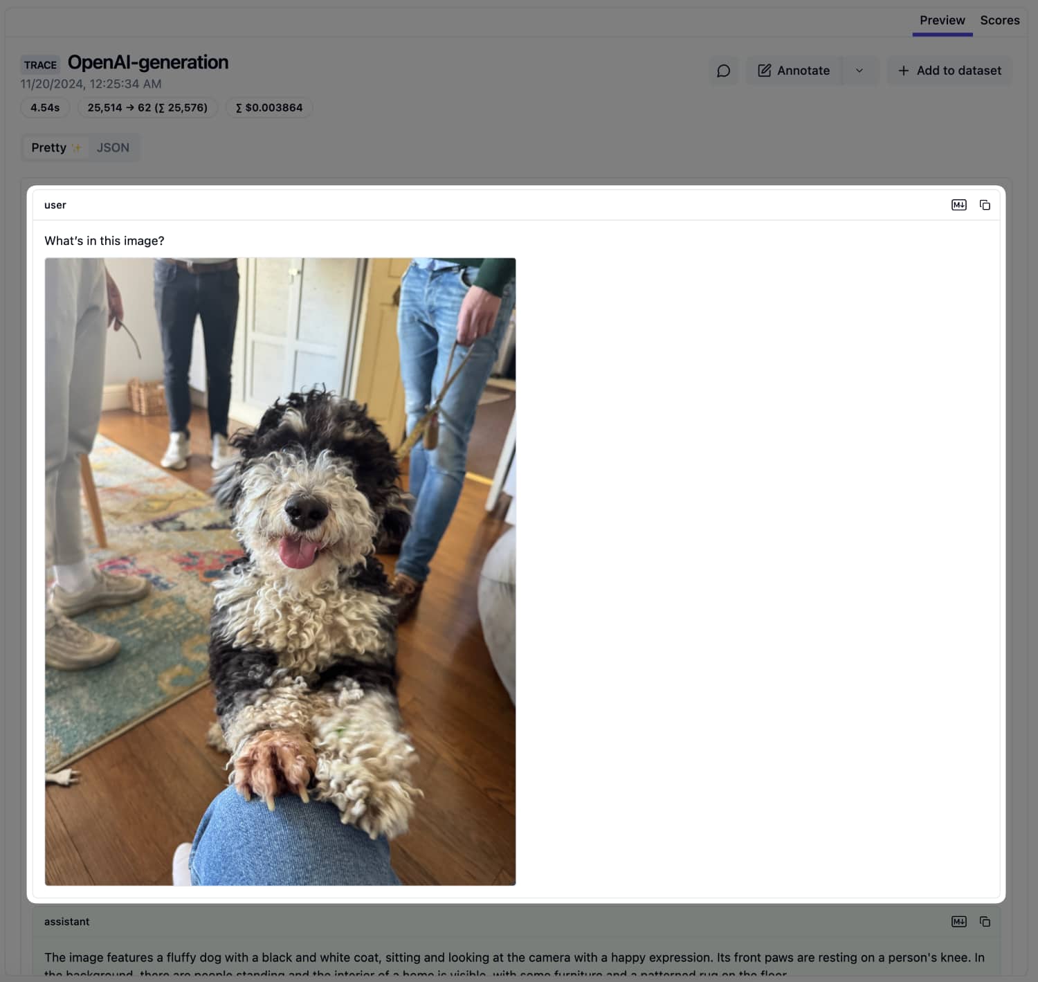 Multi-Modality & Attachments - Langfuse