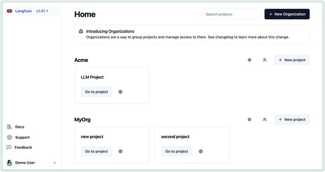 Organizations - Langfuse