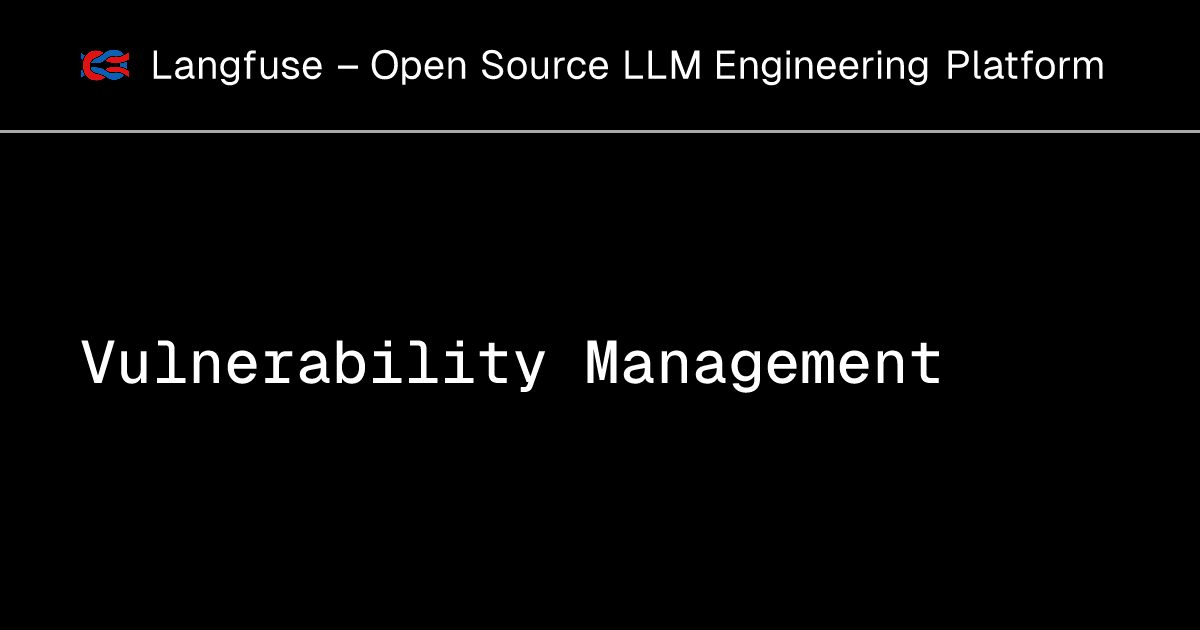 Vulnerability Management - Langfuse