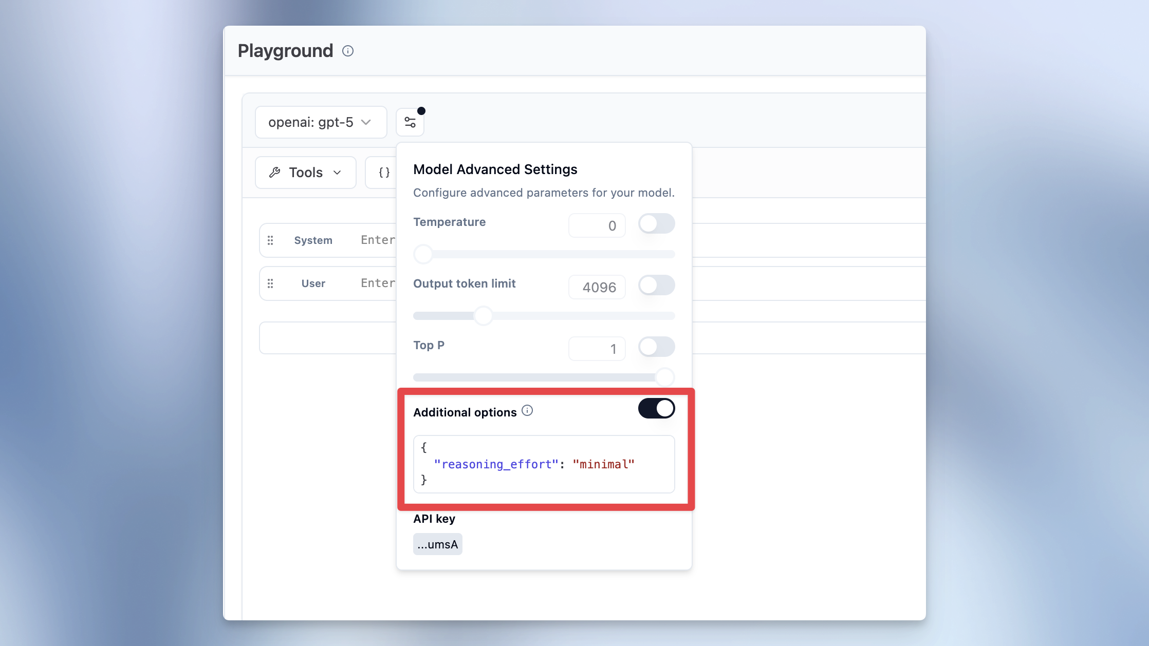 Additional provider options in LLM calls in playground and evals - Langfuse